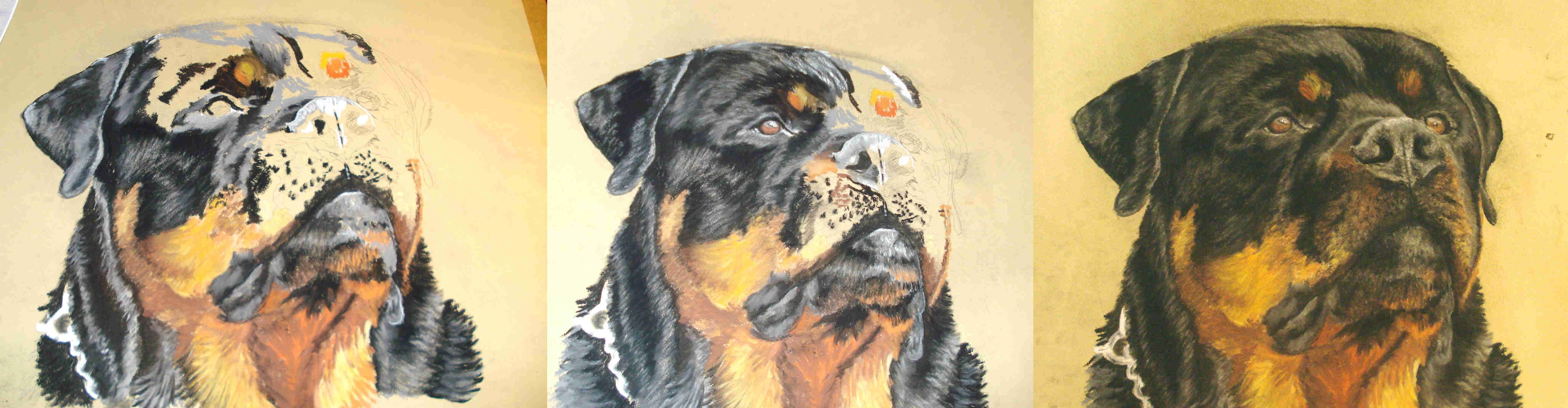 Riggs Art Progression of Pastel